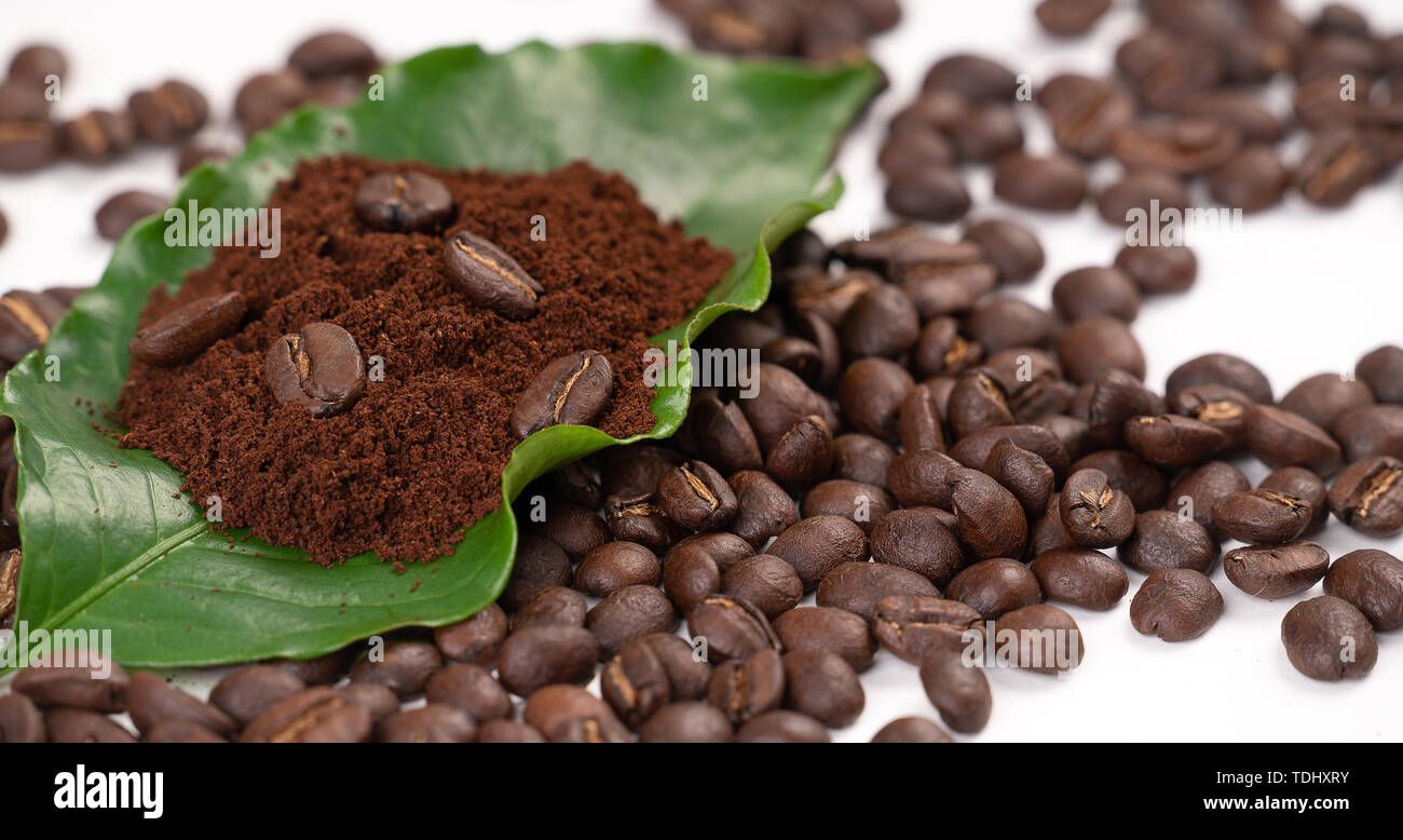 roasted coffee bean with leave isolated on white background Stock Photo - Alamy