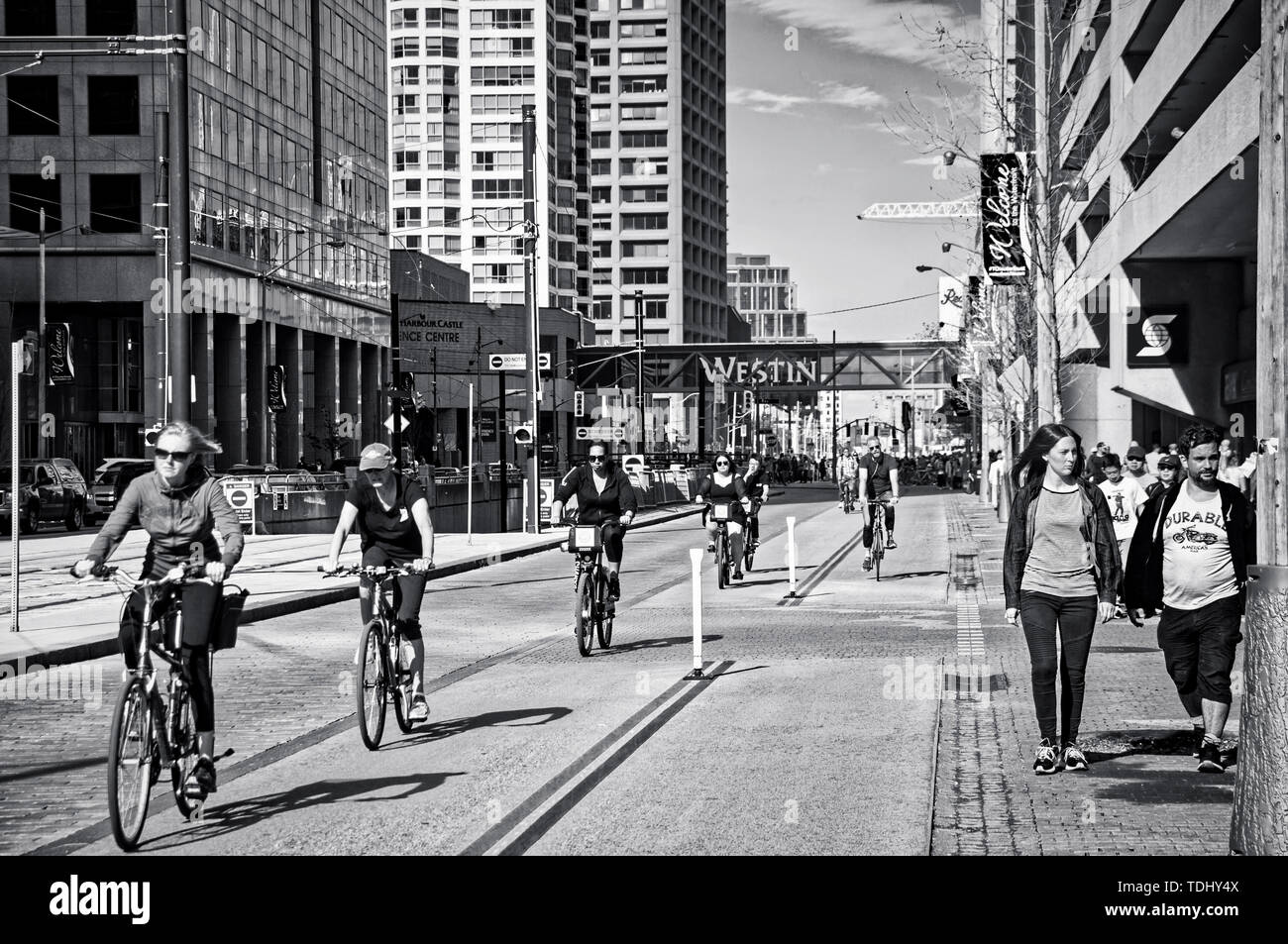 Toronto, Canada - 05 20 2018: Dedicated bicycle lanes in downtown ...