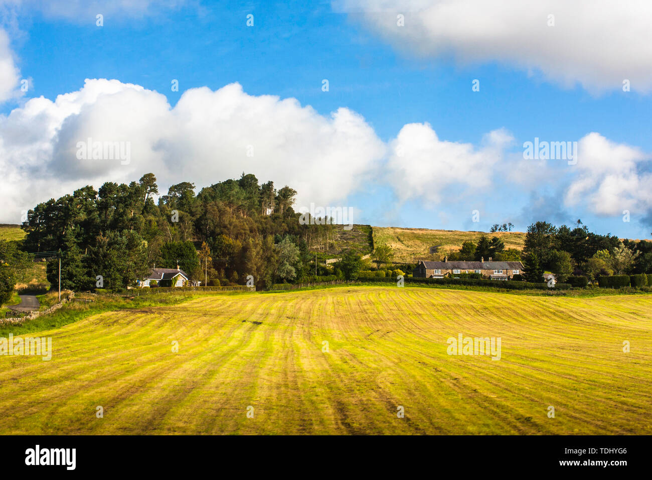 The pastoral scenery of England is like a pastoral song, like an ...