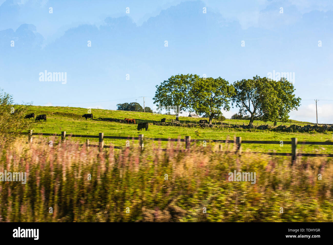 The pastoral scenery of England is like a pastoral song, like an ...