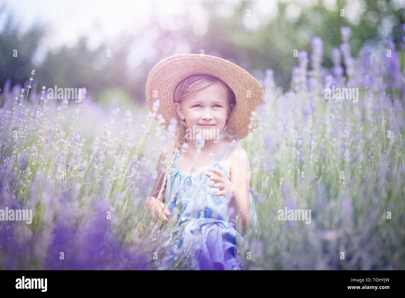Little girl in lavender field. kids fantasy. Smiling girl sniffing ...