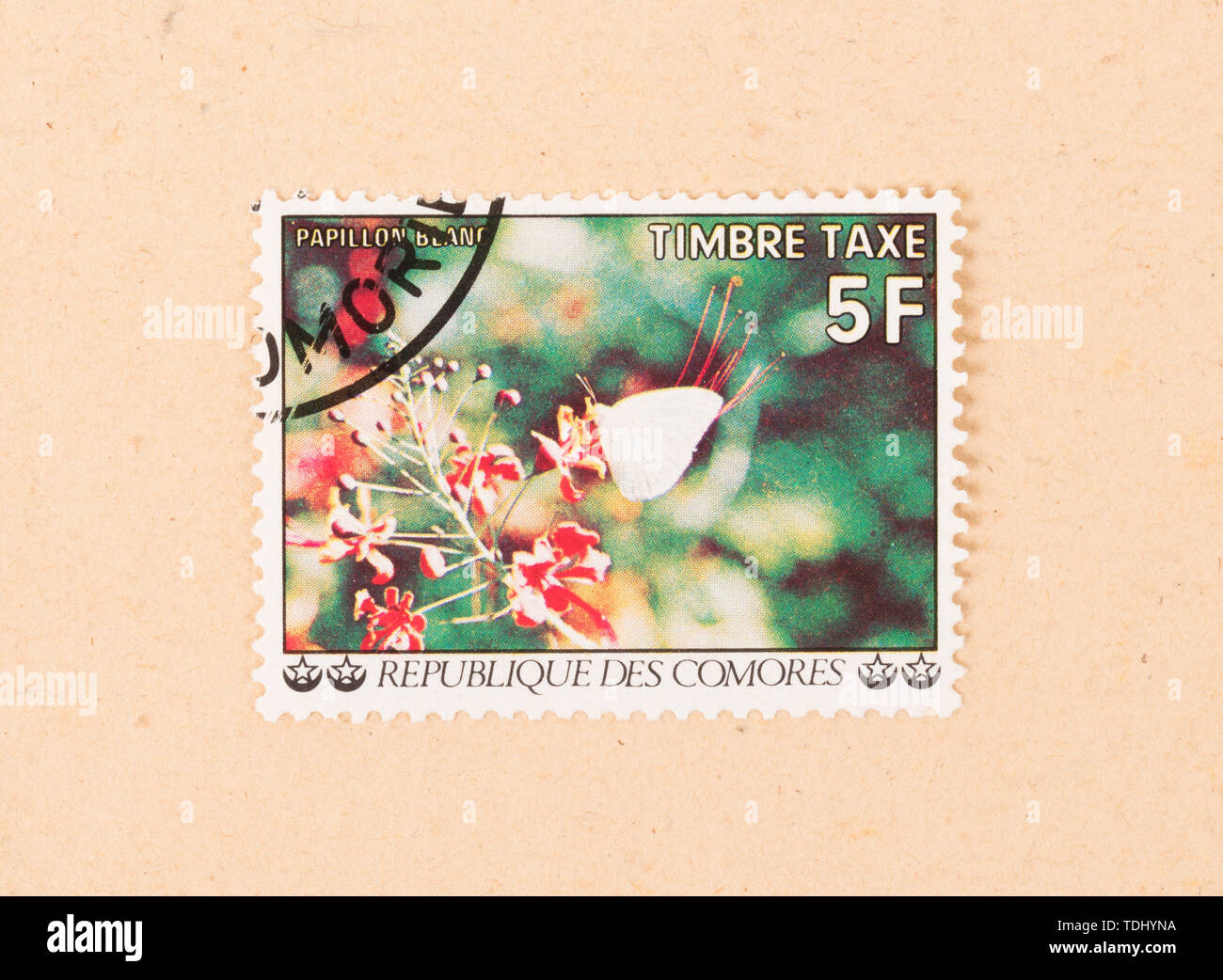 COMOROS - CIRCA 1980: A stamp printed in the Comoros islands shows a ...