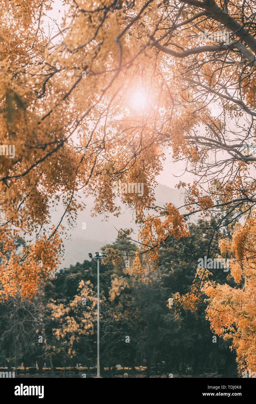 Spectrum appearance hi-res stock photography and images - Alamy