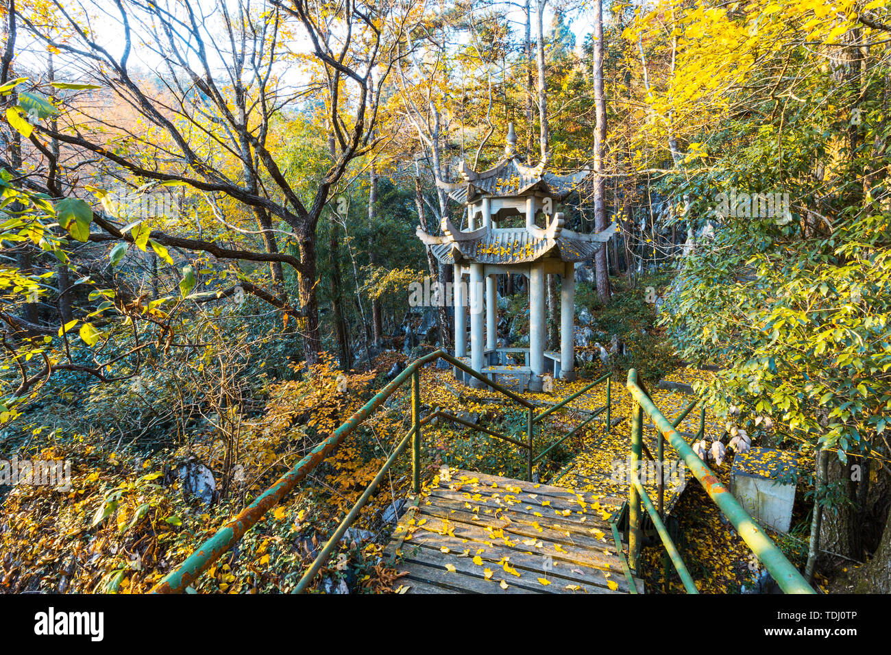 Pathway in the downhill Stock Photo - Alamy
