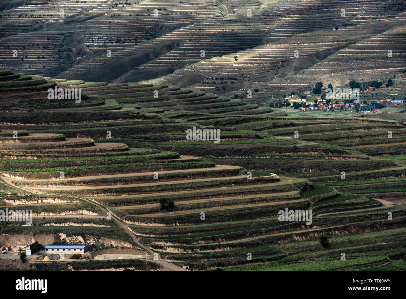 Loess plateau terraces hi-res stock photography and images - Alamy