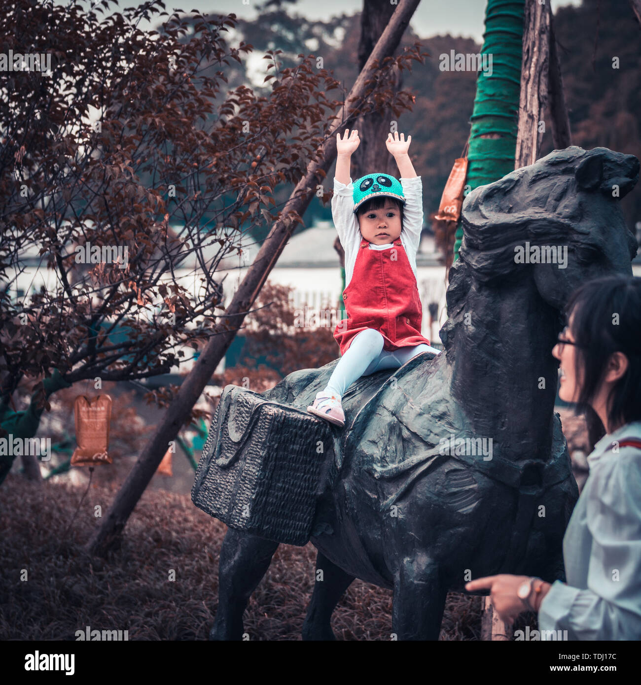 Collection of Life and Humanities Stock Photo - Alamy