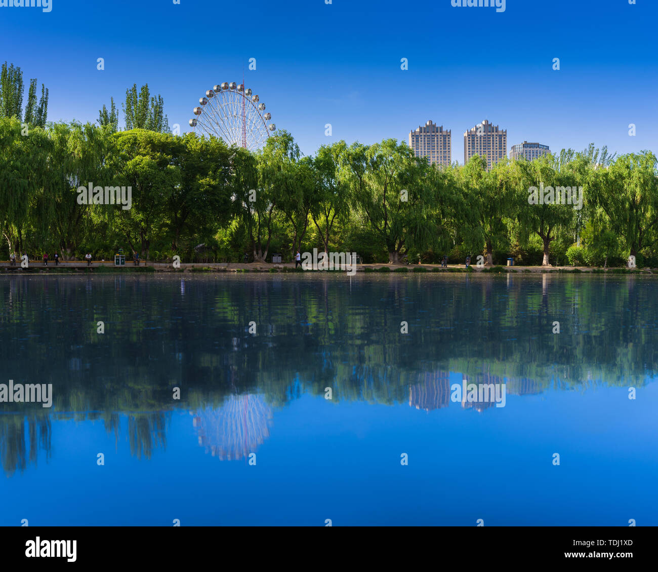 Hohhot Qingcheng Park Stock Photo - Alamy