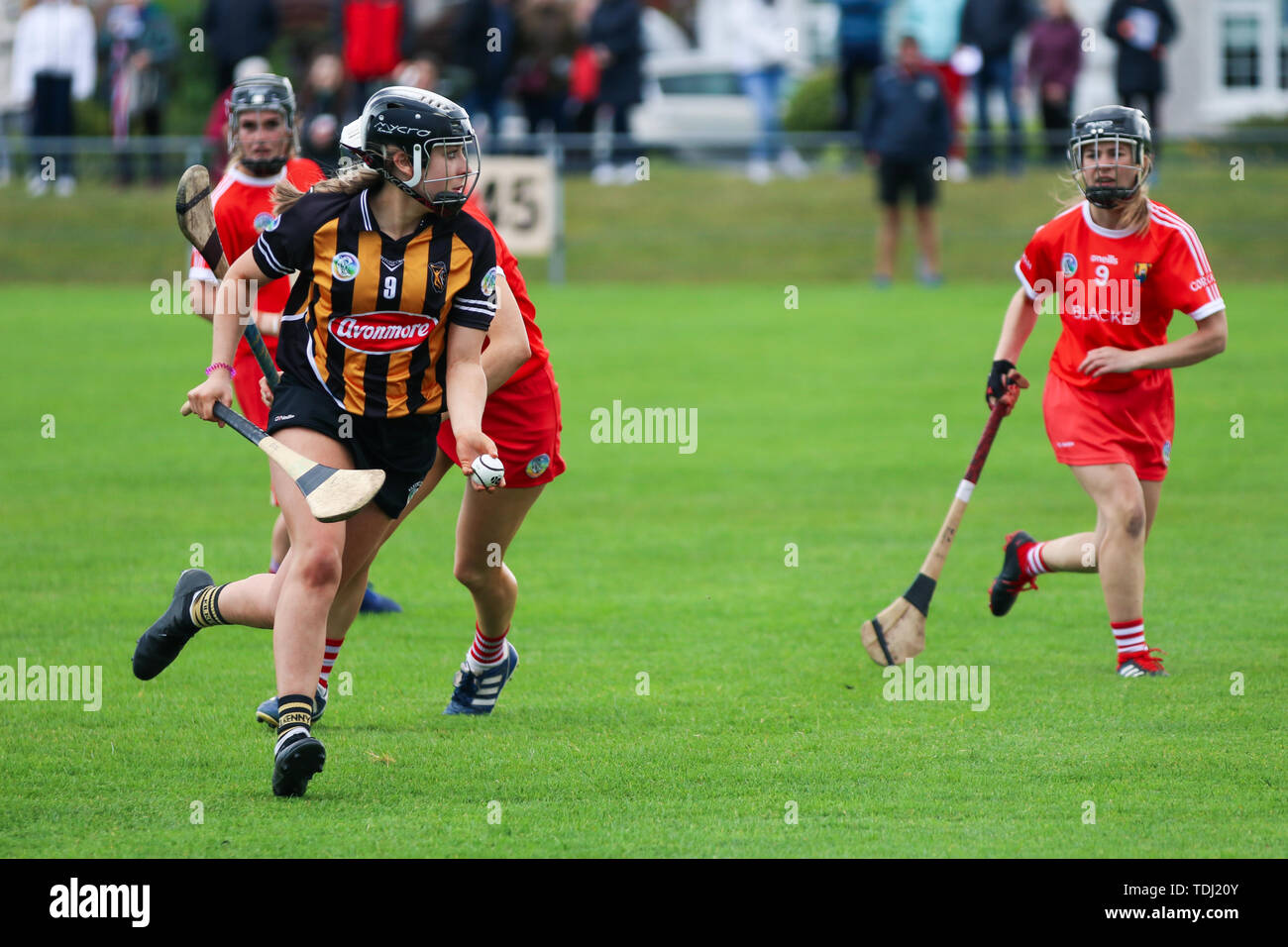 Offly Camogie Clipart