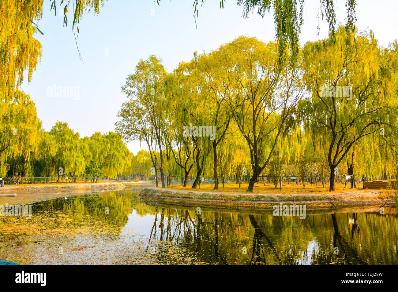 Guta park hi-res stock photography and images - Alamy