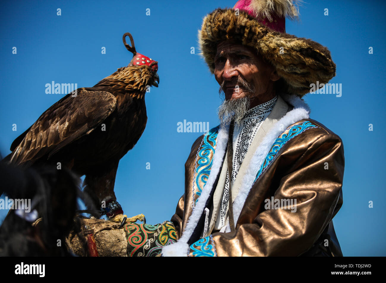 Predator costume hi-res stock photography and images - Alamy