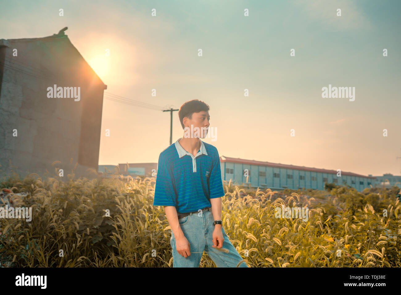 Nice boy hi-res stock photography and images - Alamy