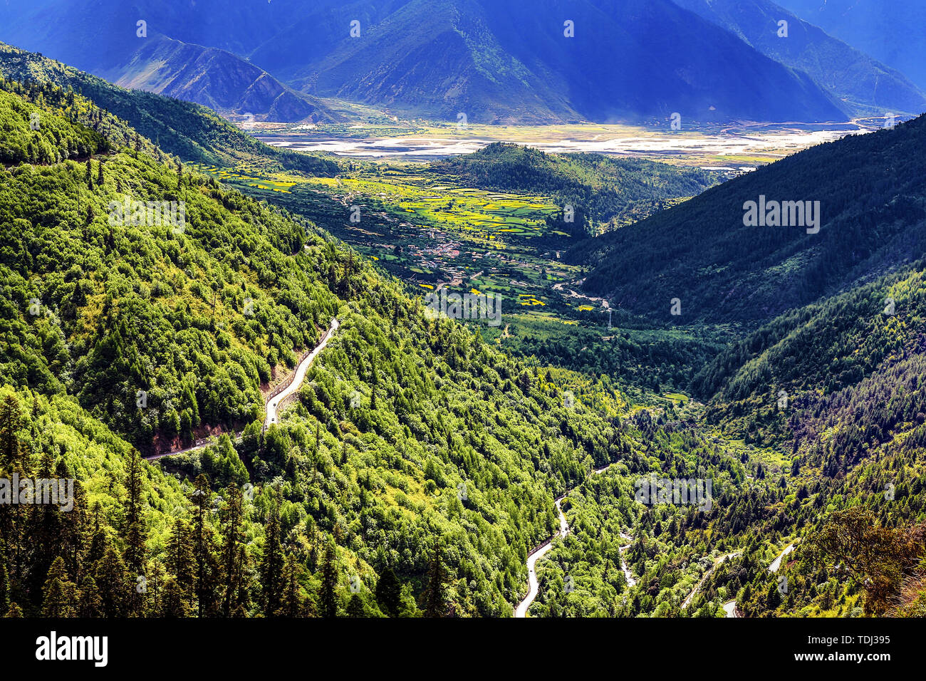 Scenery of Lulang Linhai in Yingzhi region, Tibet Stock Photo - Alamy
