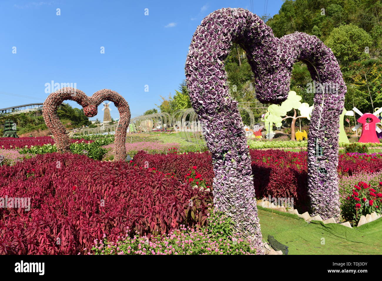 Flower sea scenery Stock Photo - Alamy