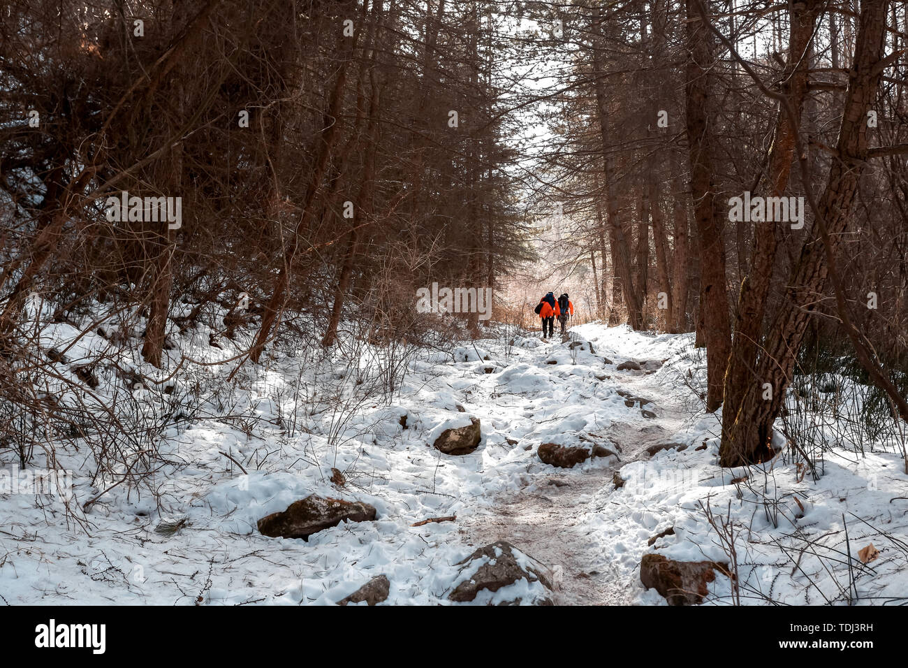 Qinling Snow Mountain Stock Photo - Alamy