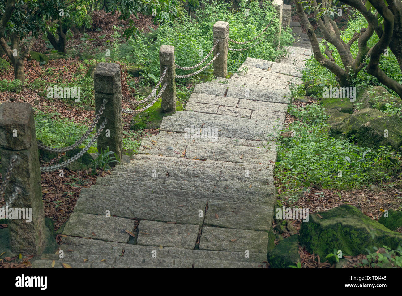The bluestone road in the park Stock Photo - Alamy