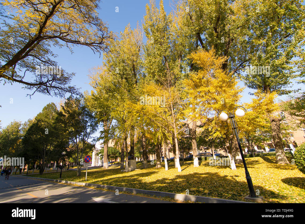 china agricultural university Stock Photo - Alamy china agricultural university Stock Photo - Alamy