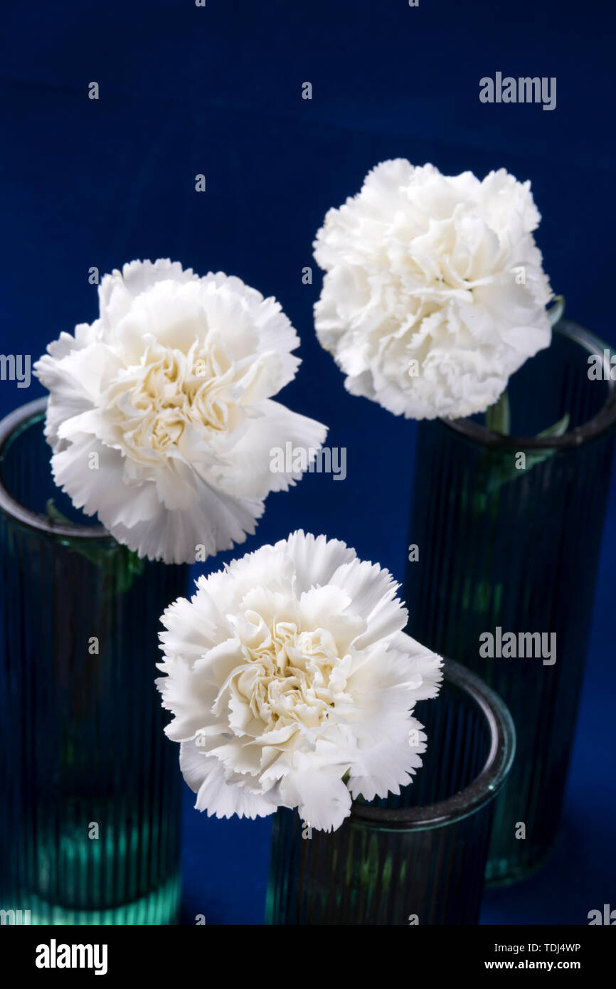 Carnation ornaments hi-res stock photography and images - Alamy