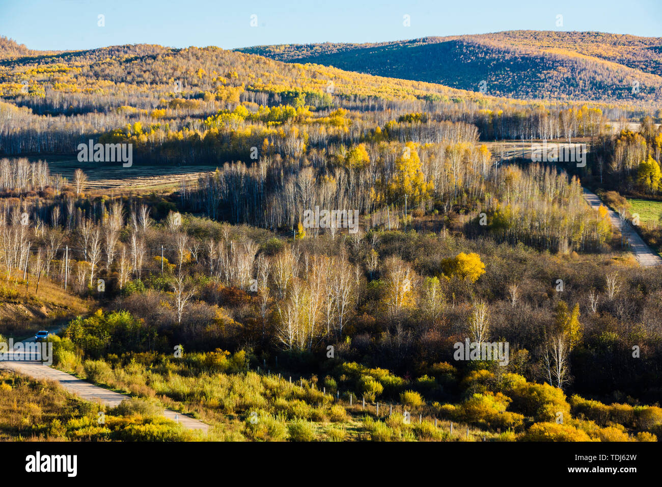 Erguna river and river forest hi-res stock photography and images - Alamy