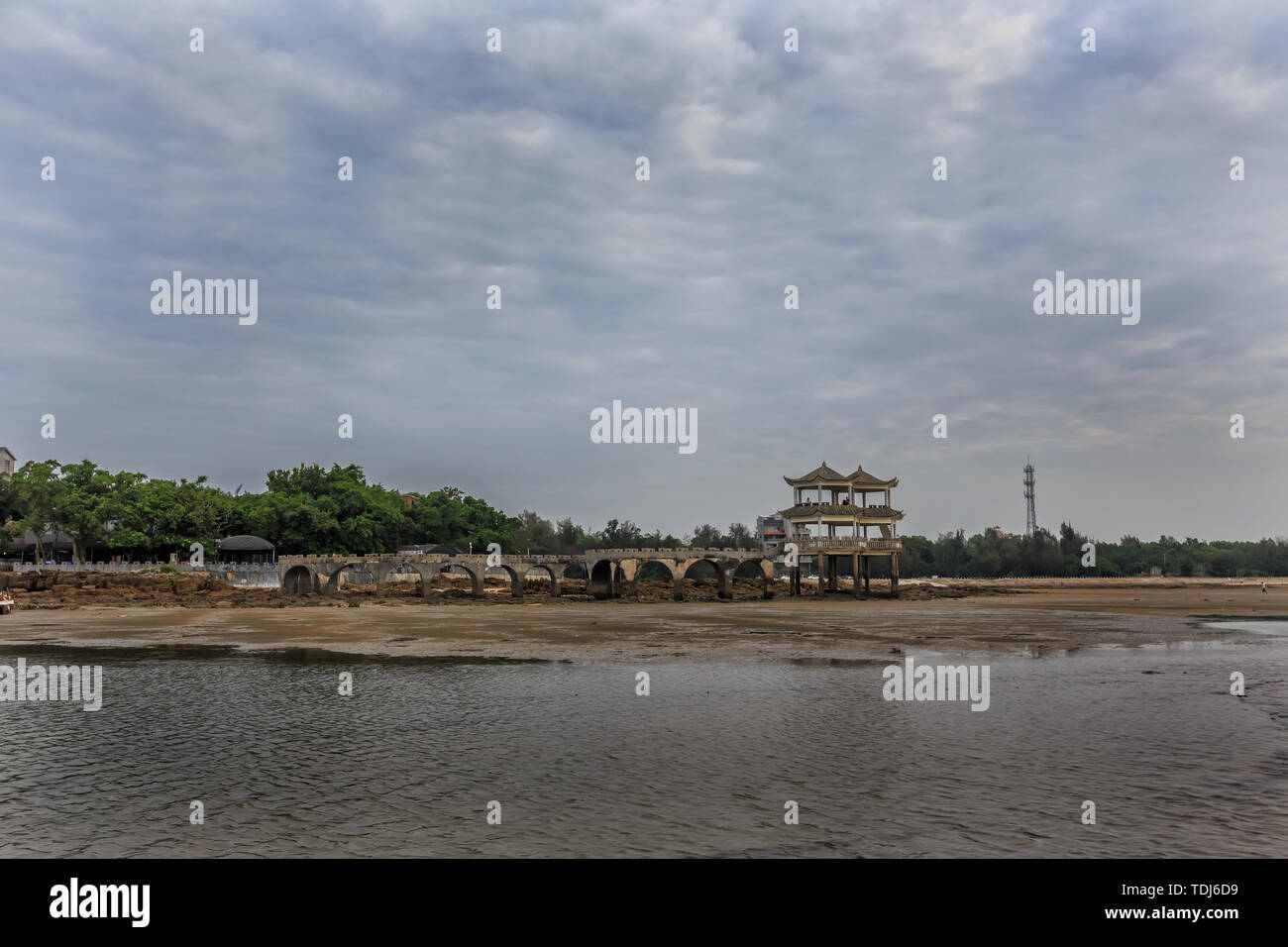 Eight trees hi-res stock photography and images - Alamy