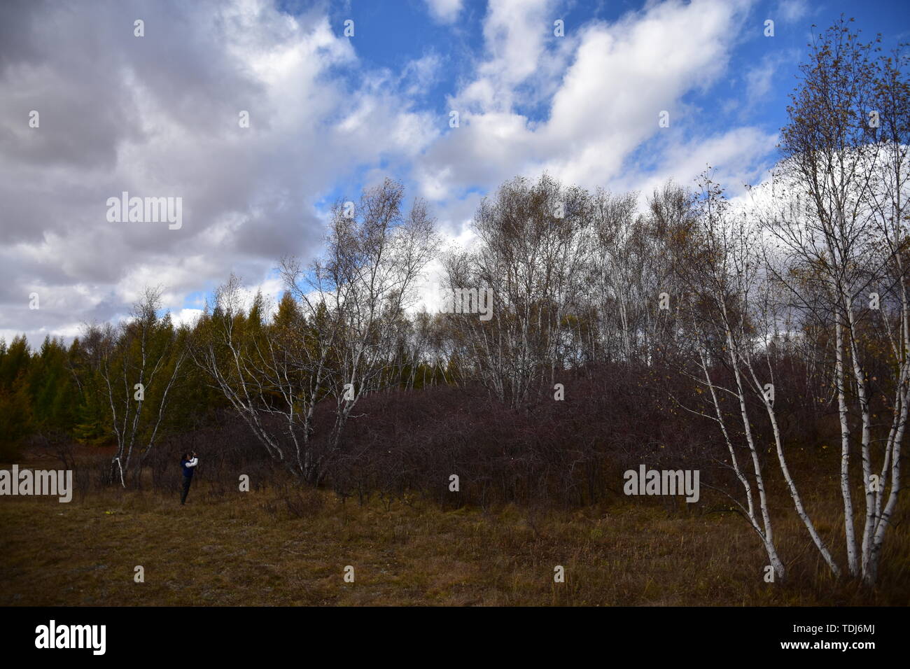 Saihan dam scenery Stock Photo - Alamy