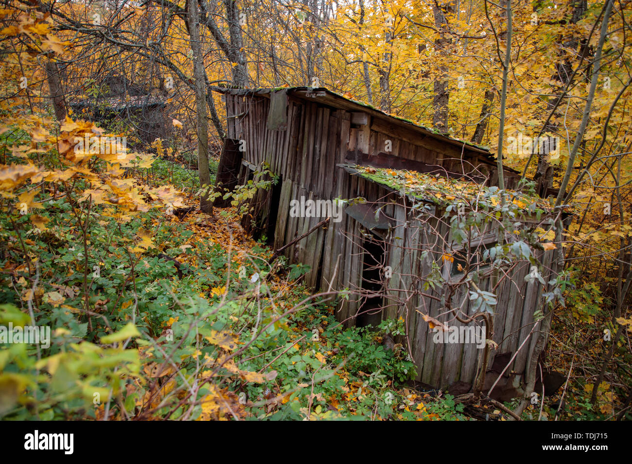 old and destroyed wooden shed in the daytime Stock Photo - Alamy