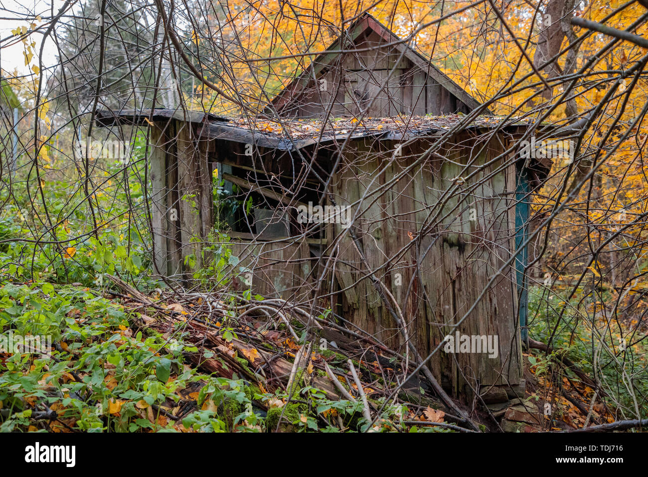 old and destroyed wooden shed in the daytime Stock Photo - Alamy