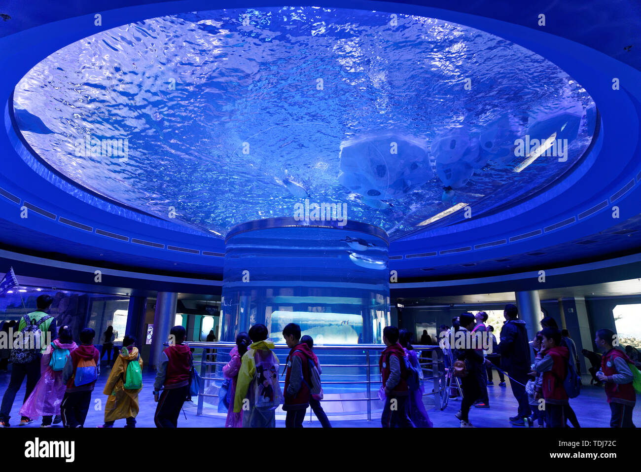 Penguin Pavilion, Haichang Ocean Park, Shanghai Stock Photo - Alamy