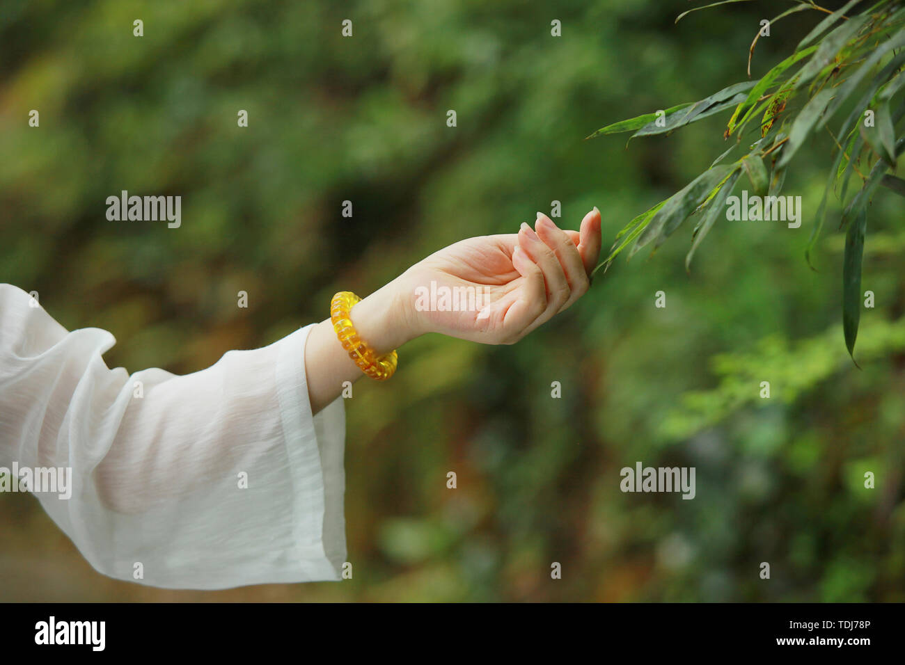 Entourage design hi-res stock photography and images - Alamy