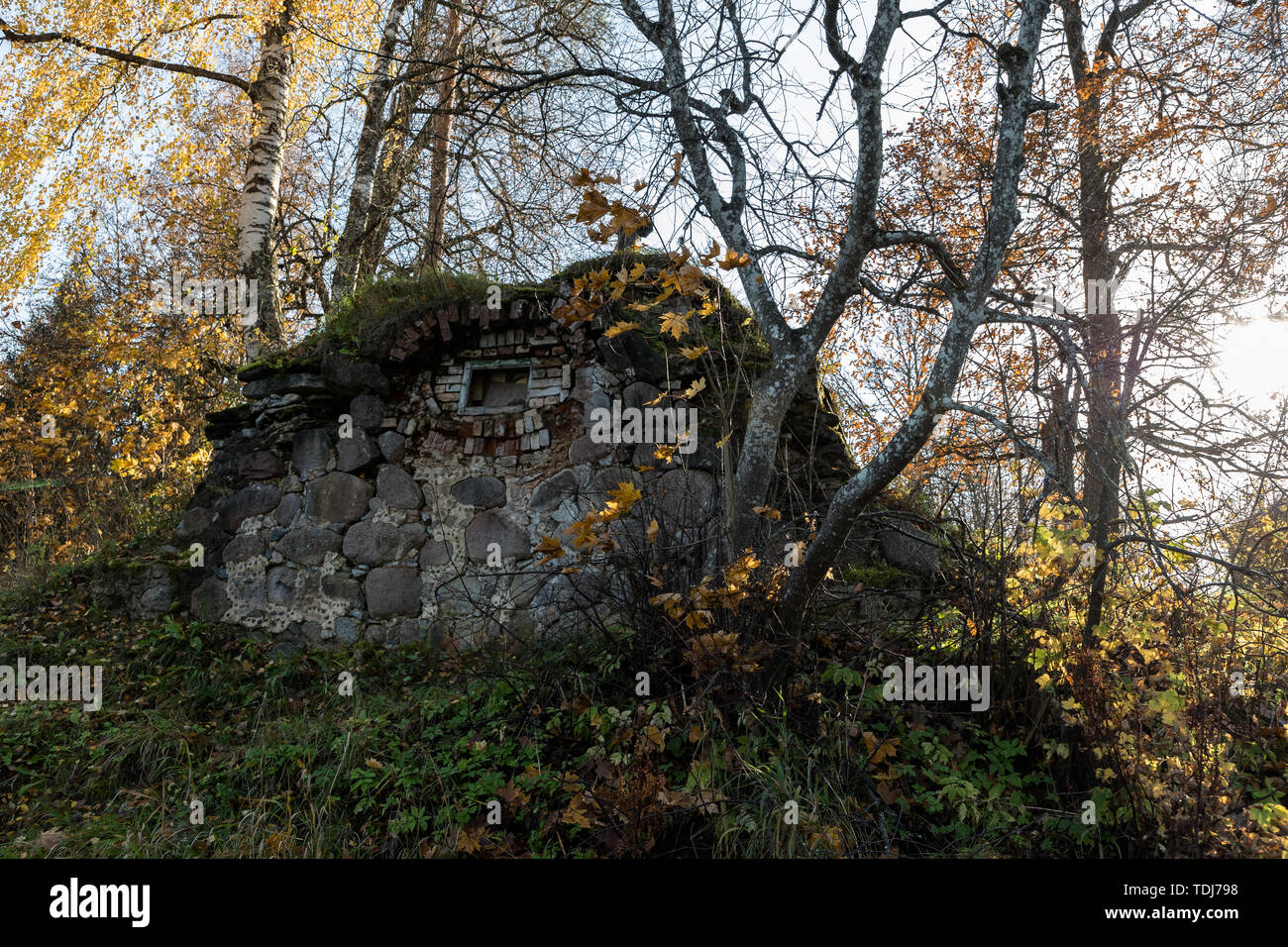 stone house in the forest covered with moss and grass Stock Photo - Alamy