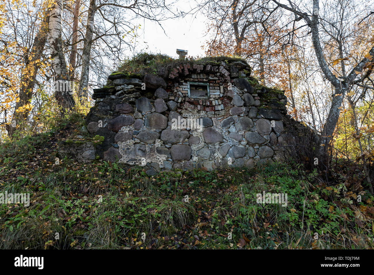 stone house in the forest covered with moss and grass Stock Photo - Alamy