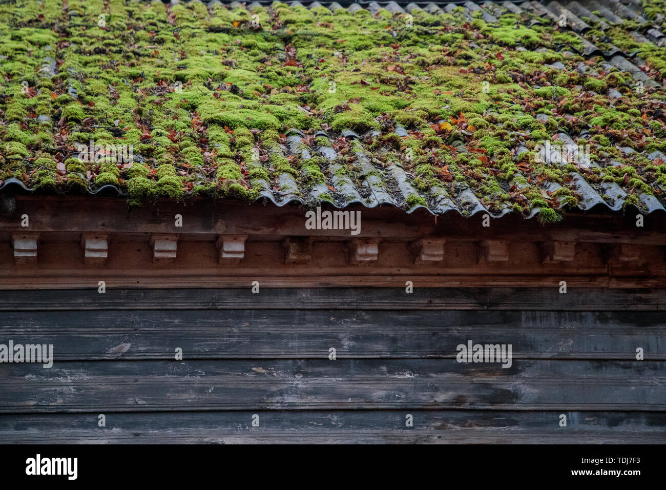 Moss covered roof hi-res stock photography and images - Alamy