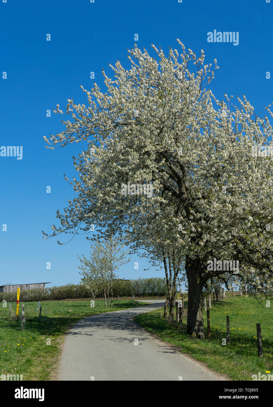 Agriculture path hi-res stock photography and images - Alamy