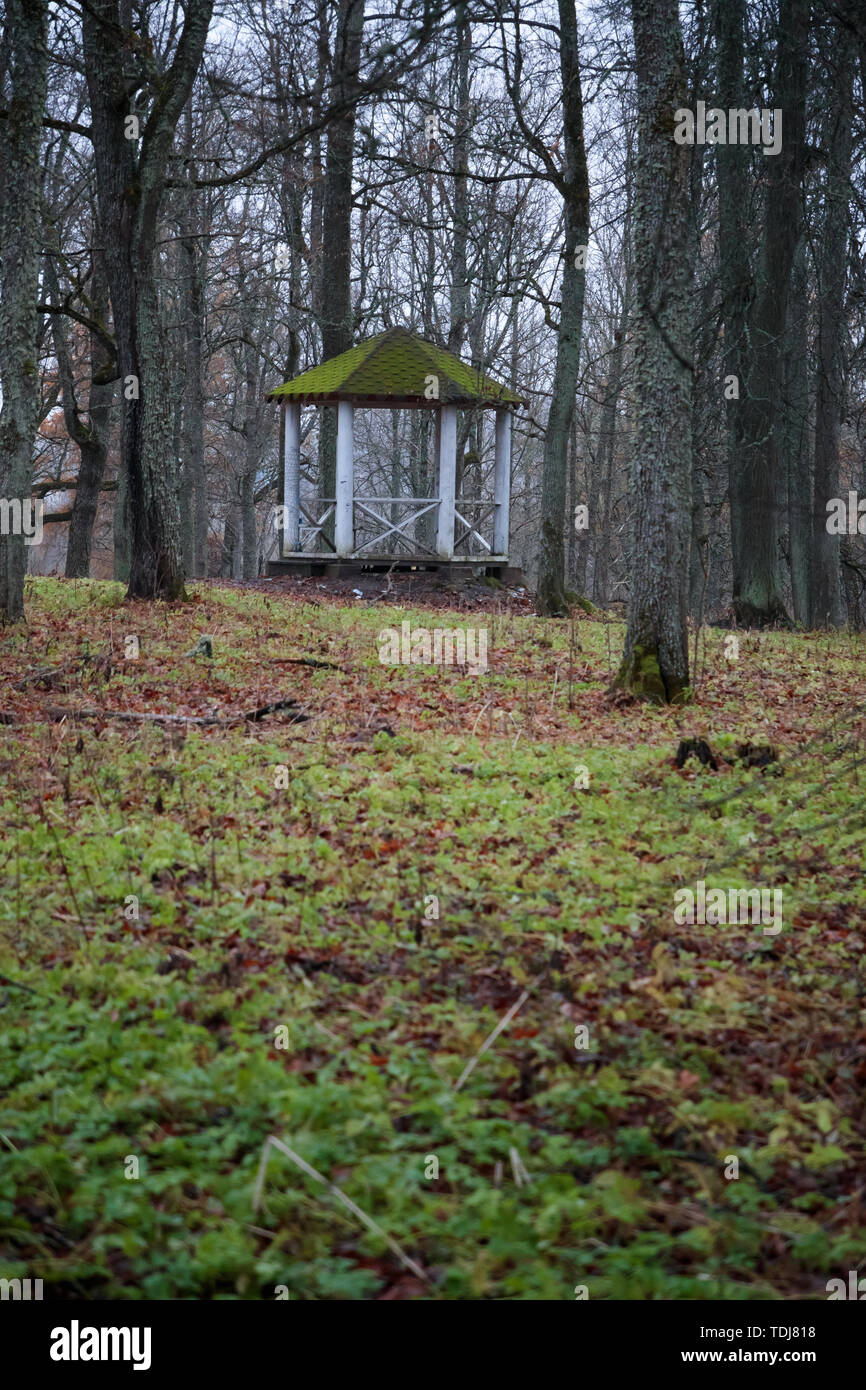 Gazebo in the forest hi-res stock photography and images - Alamy