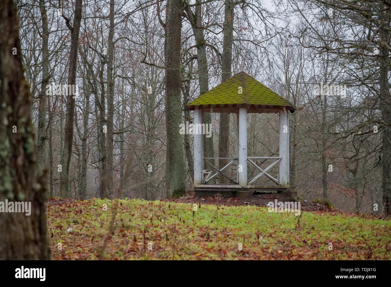 Gazebo in the forest hi-res stock photography and images - Alamy