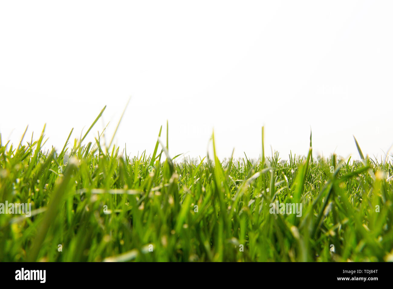 Grass background material Stock Photo - Alamy