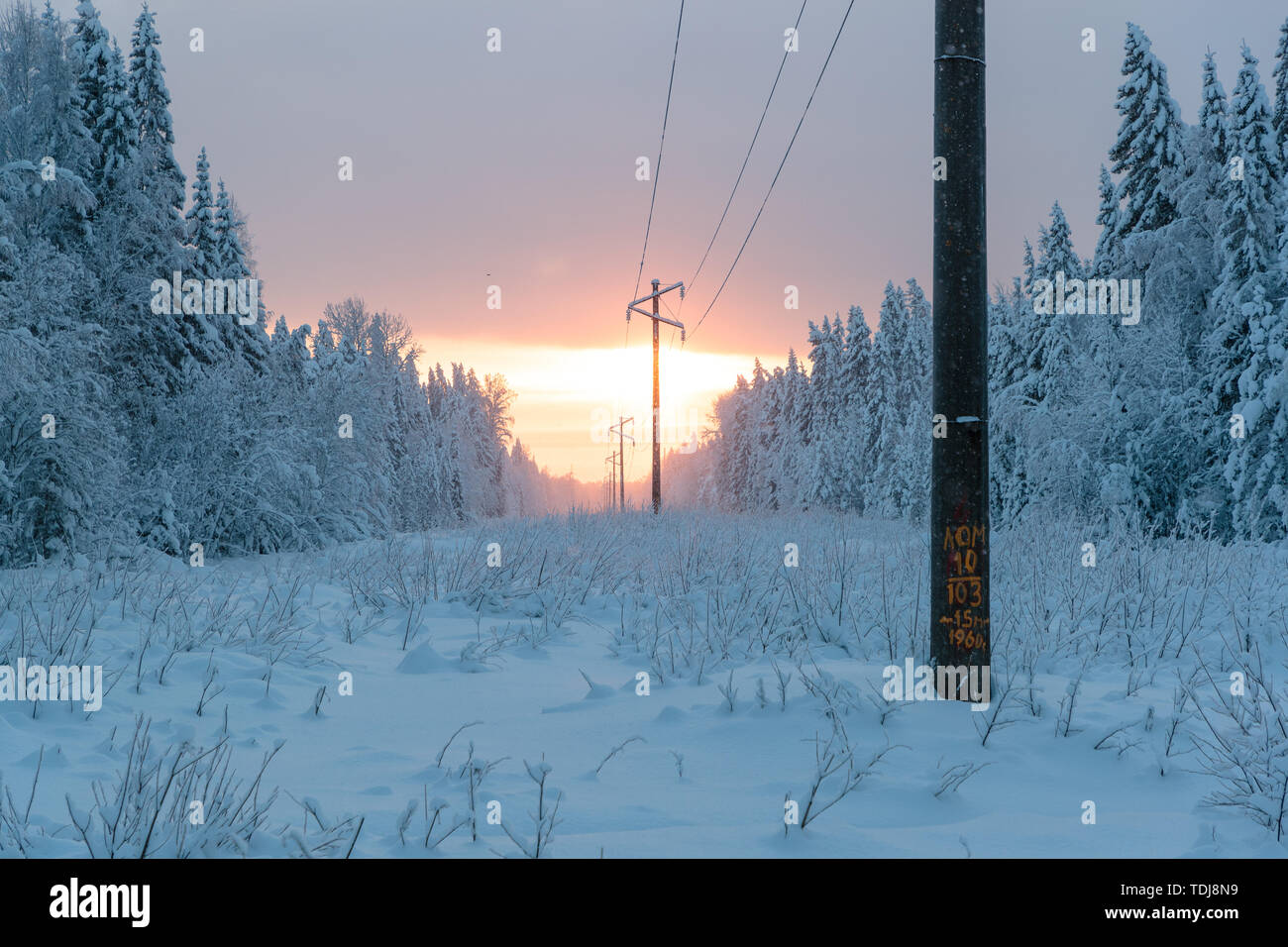 cold and winter landscapes with snow in Russia Stock Photo - Alamy