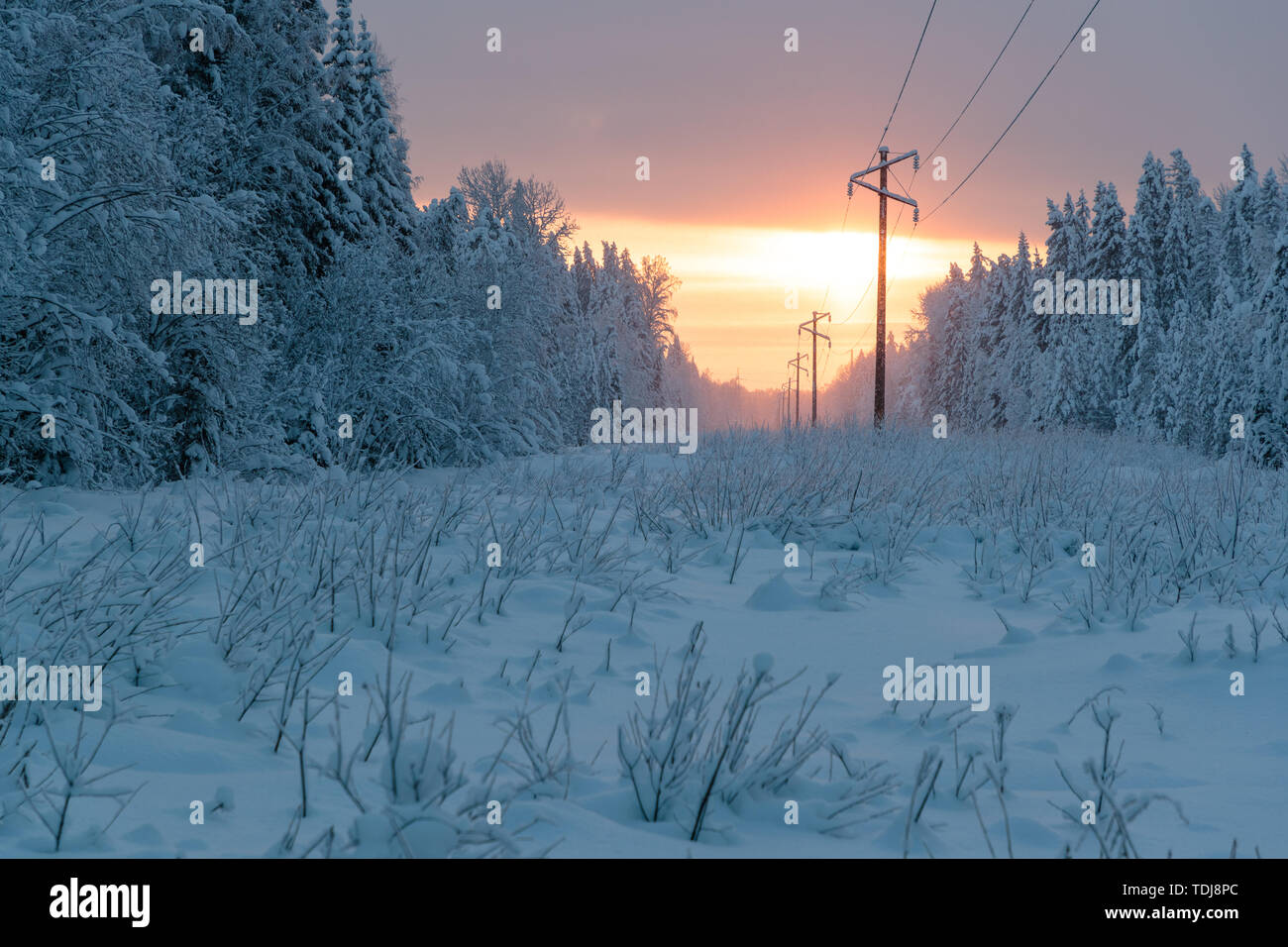 cold and winter landscapes with snow in Russia Stock Photo - Alamy