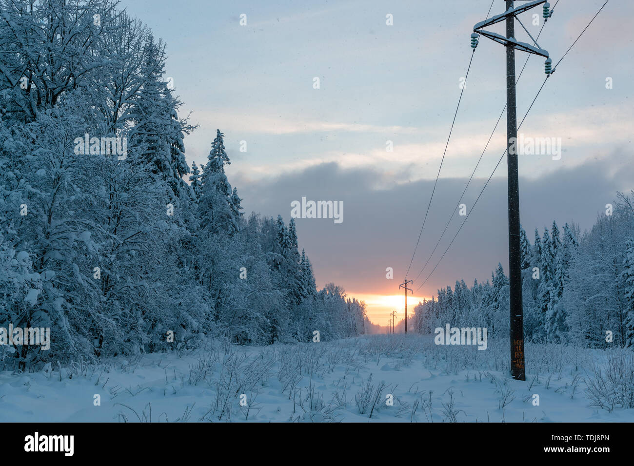 cold and winter landscapes with snow in Russia Stock Photo - Alamy