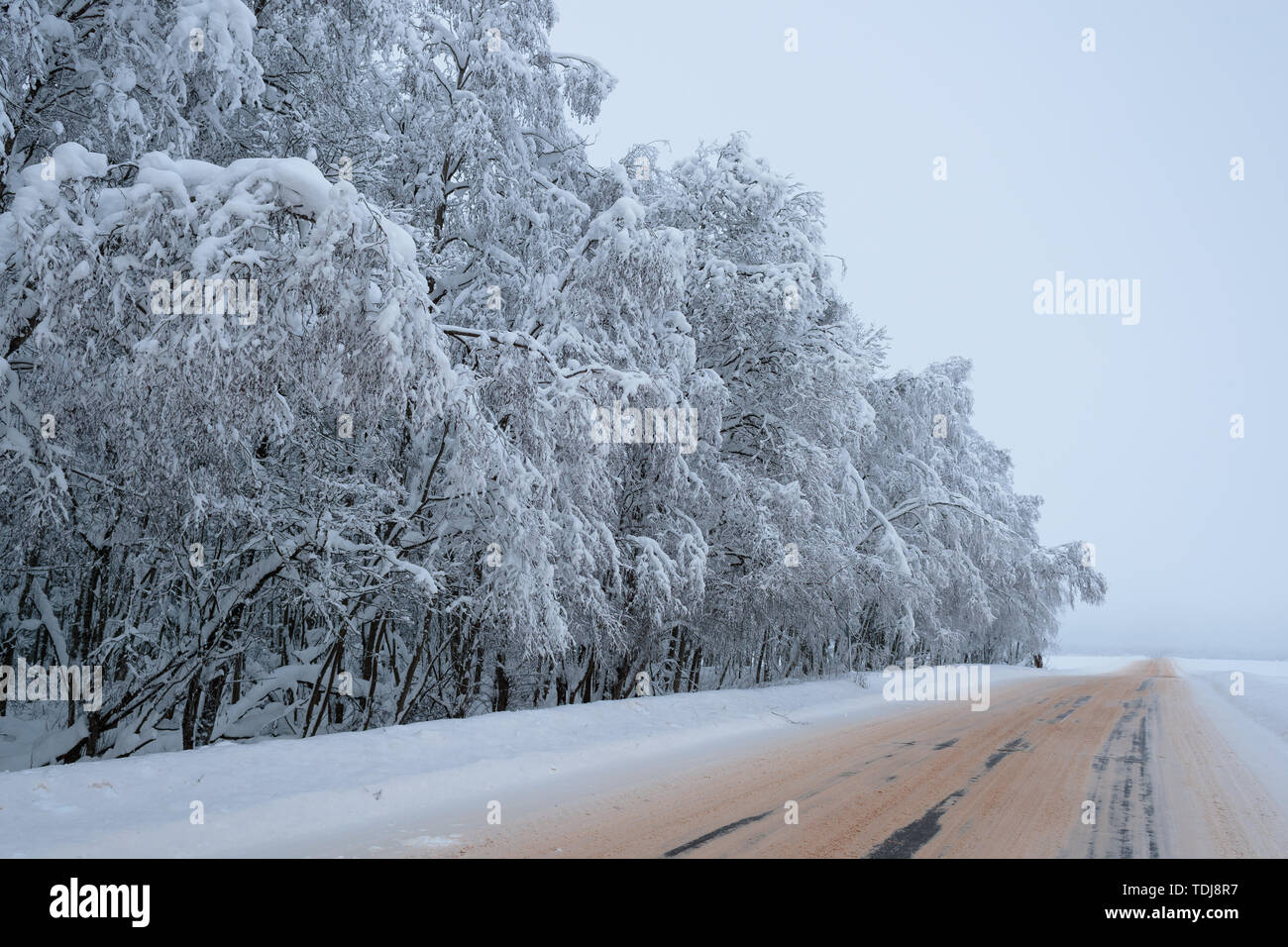cold and winter landscapes with snow in Russia Stock Photo - Alamy