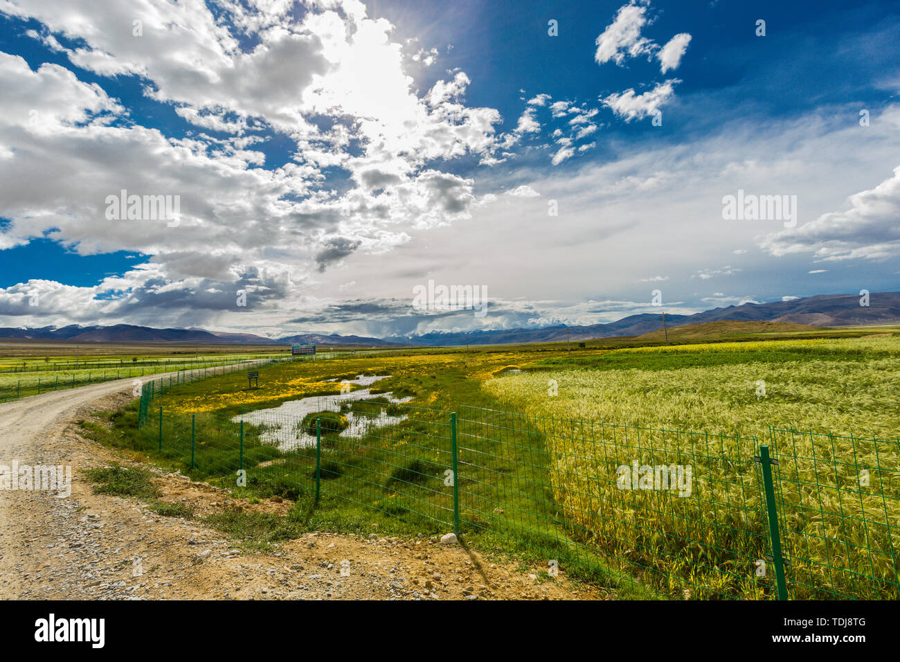 China forest desert hi-res stock photography and images - Alamy