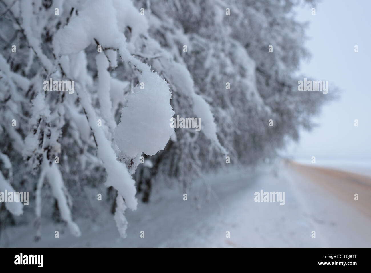 cold and winter landscapes with snow in Russia Stock Photo - Alamy