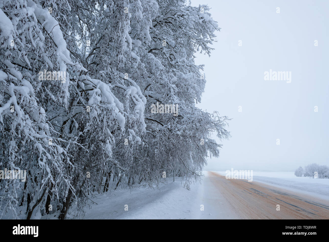 cold and winter landscapes with snow in Russia Stock Photo - Alamy