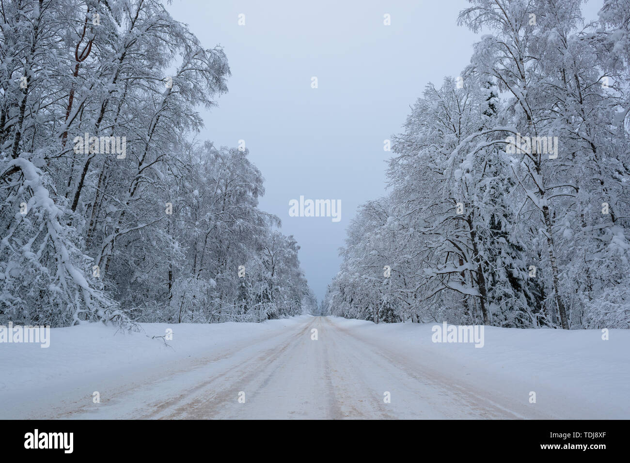 cold and winter landscapes with snow in Russia Stock Photo - Alamy