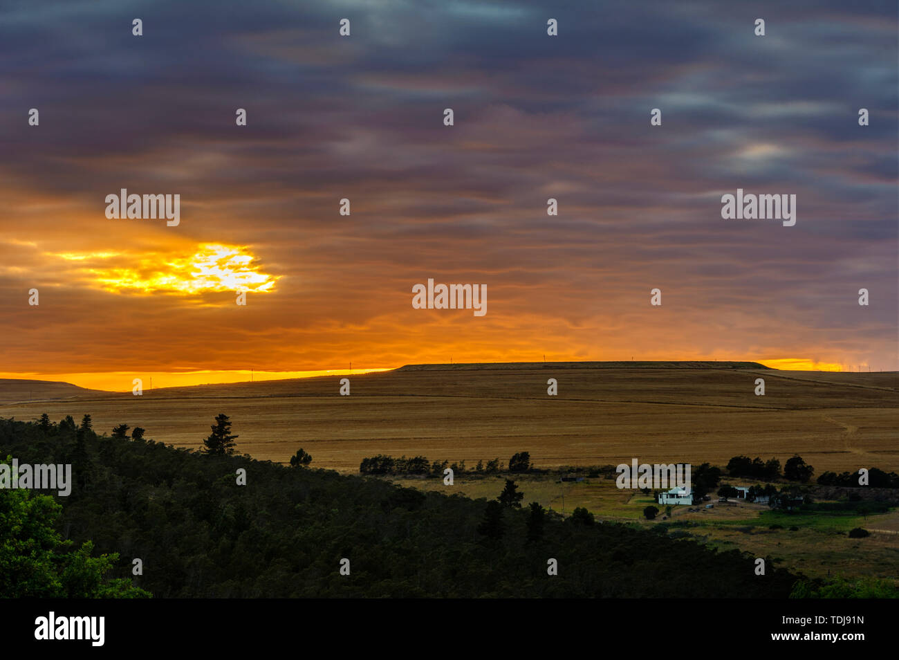 Caliden hi-res stock photography and images - Alamy