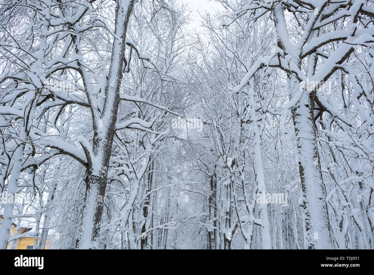 Cold russia hi-res stock photography and images - Alamy