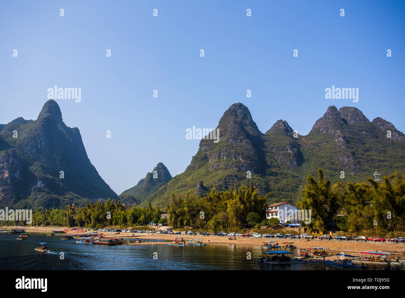 Fencephalos hi-res stock photography and images - Alamy