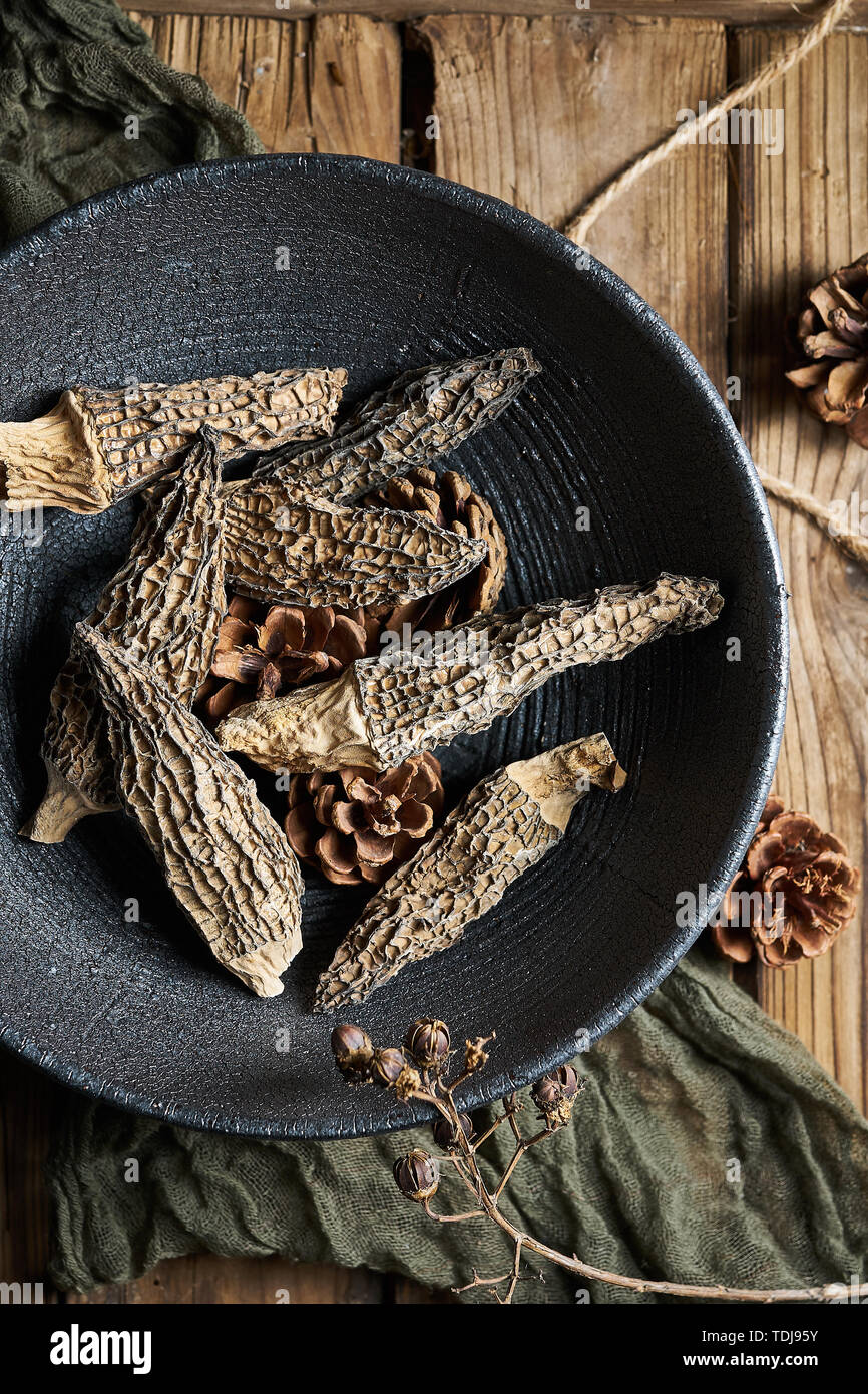 Mycelium art hi-res stock photography and images - Alamy