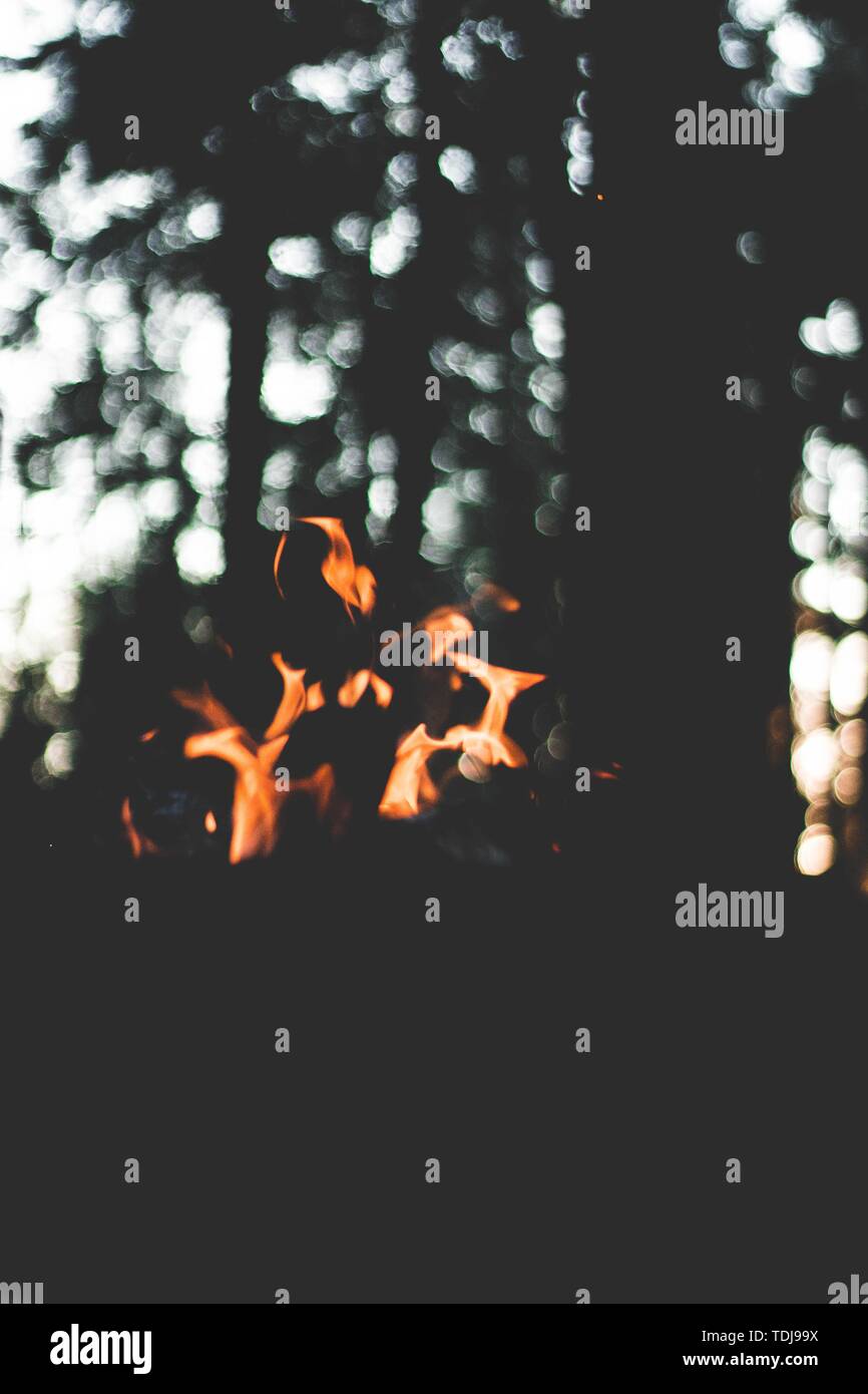 Small flames of fire burning in a forest Stock Photo - Alamy