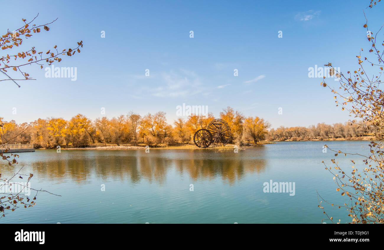 Poplar Lin, lake, reflection, beautiful scenery Stock Photo - Alamy