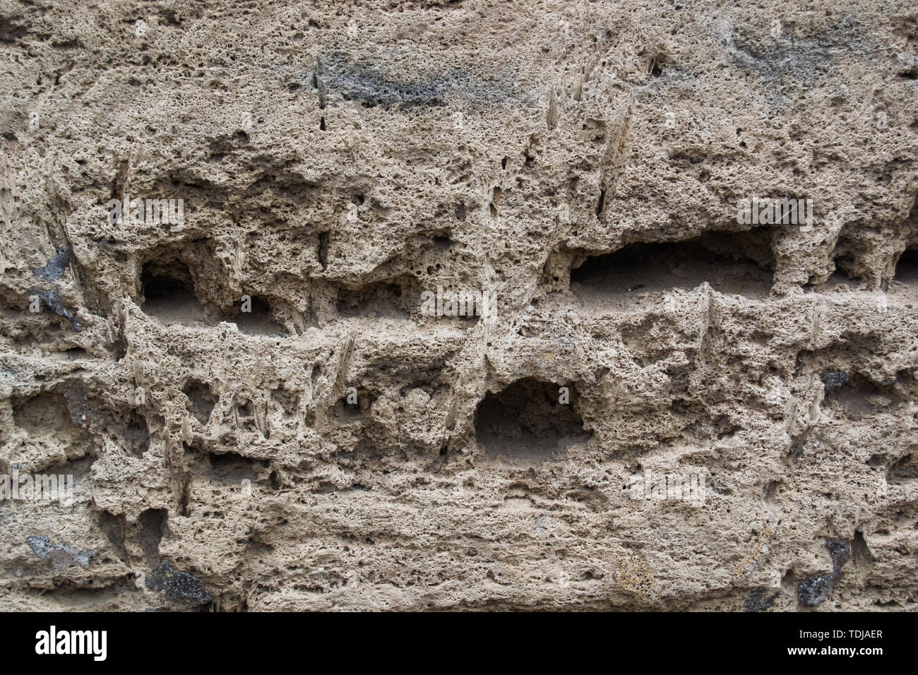 texture of stone wall in the daytime and daylight Stock Photo - Alamy